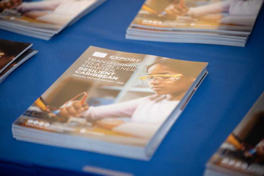 Caribbean firms increased market share and developed new global ...