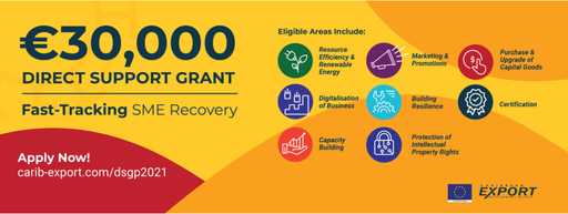 Direct Support Grants Programme 2021 | Caribbean Export